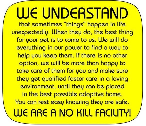 Giving Up Your Pet - Animal Shelter, Inc. of Sterling